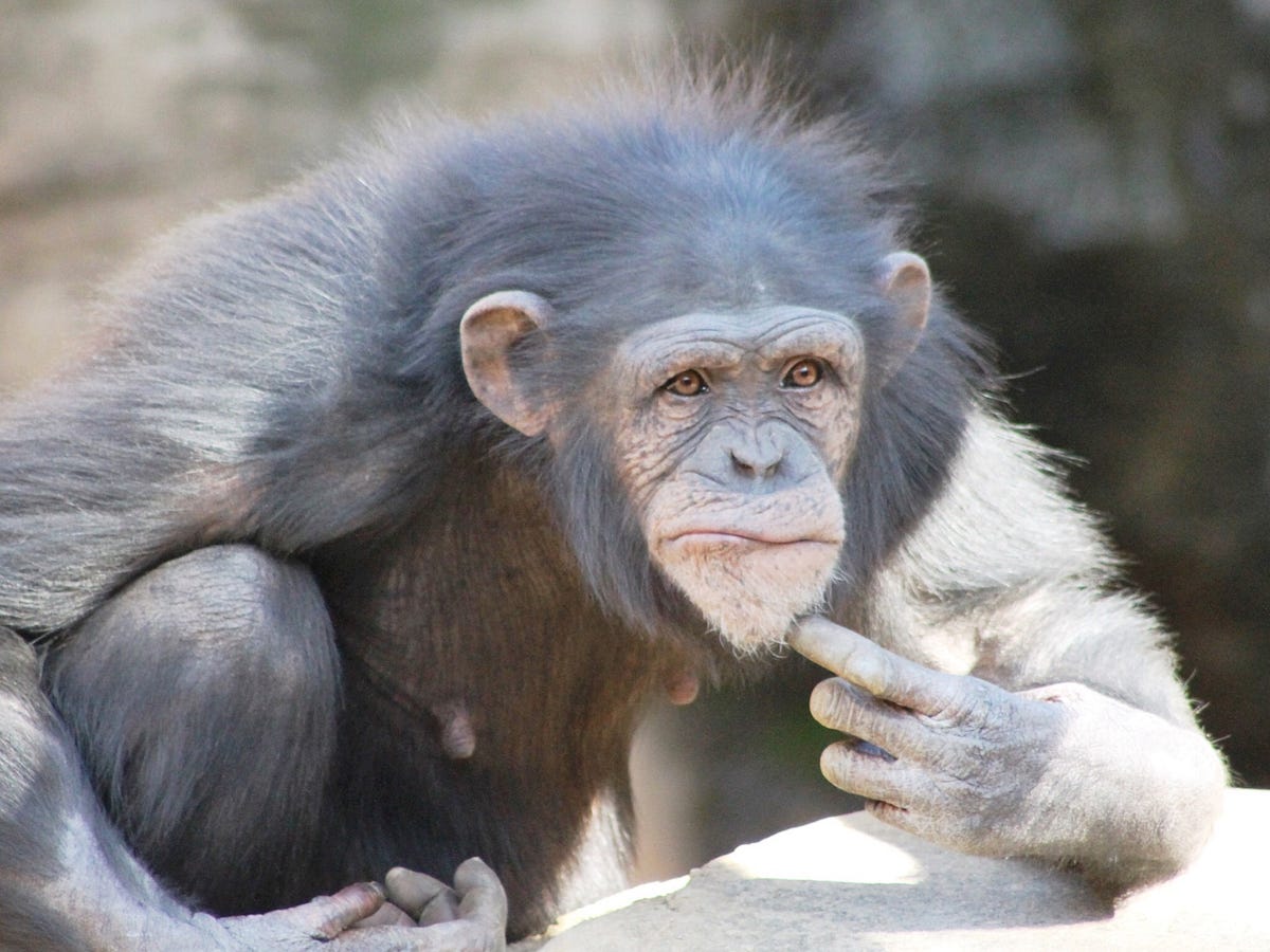 “What are you thinking about?”. By Jesse Atwell | by Jesse Atwell ...