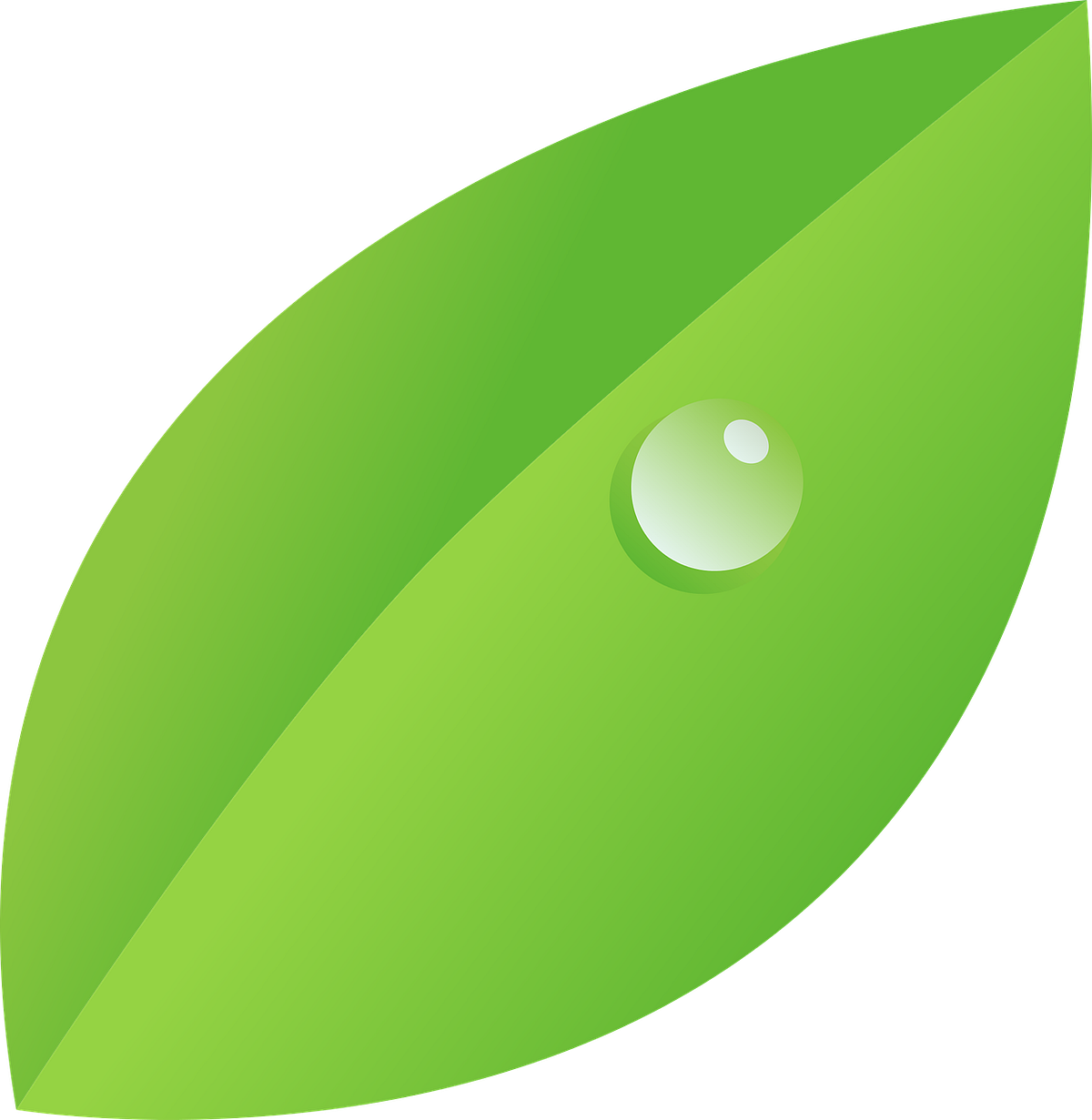 Khan Academy Kids: A Fun and Free Educational App for Children Ages 2-8 ...