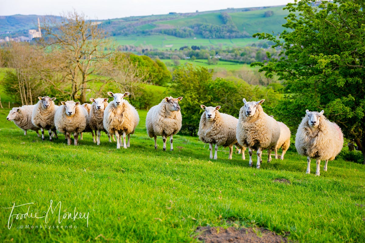 Are you Ready to Embrace The Country Side? | Monk3yseendo | Foodie ...