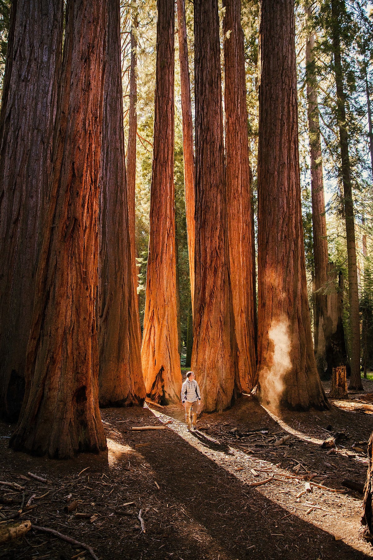 Small World, Big Universe: Why We Are Both Insignificant and Infinitely ...