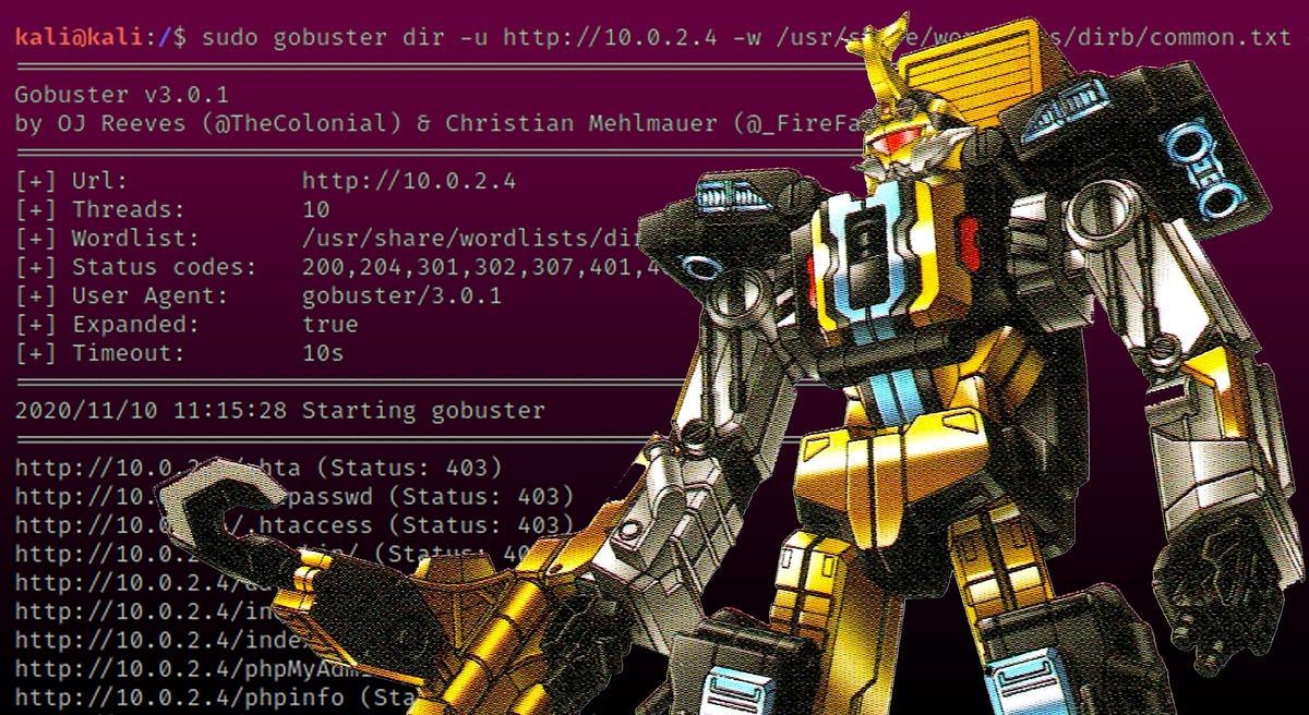 Find hidden files and web directories with GoBuster | by boojib0y | the ...