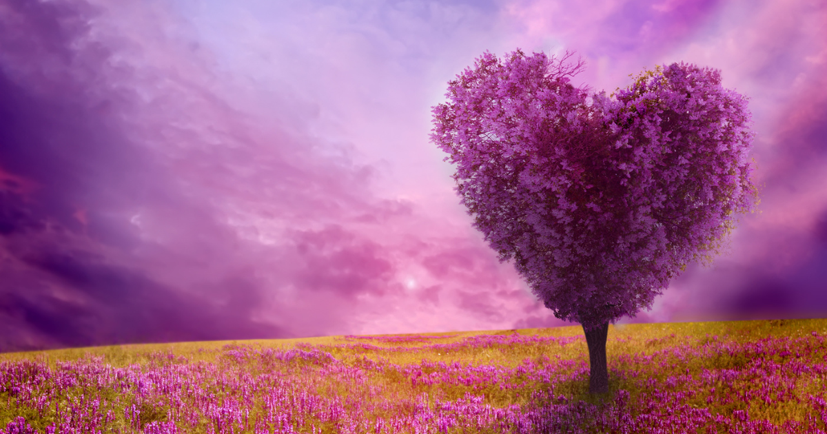 When do you know your finally in love? | by Elsie Young | Medium