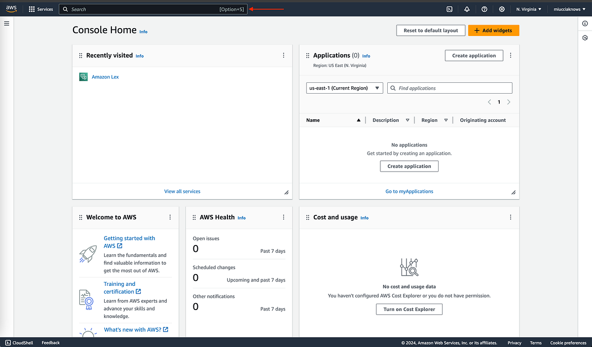 Getting started with Amazon Lex. My first contact with Cloud was with ...