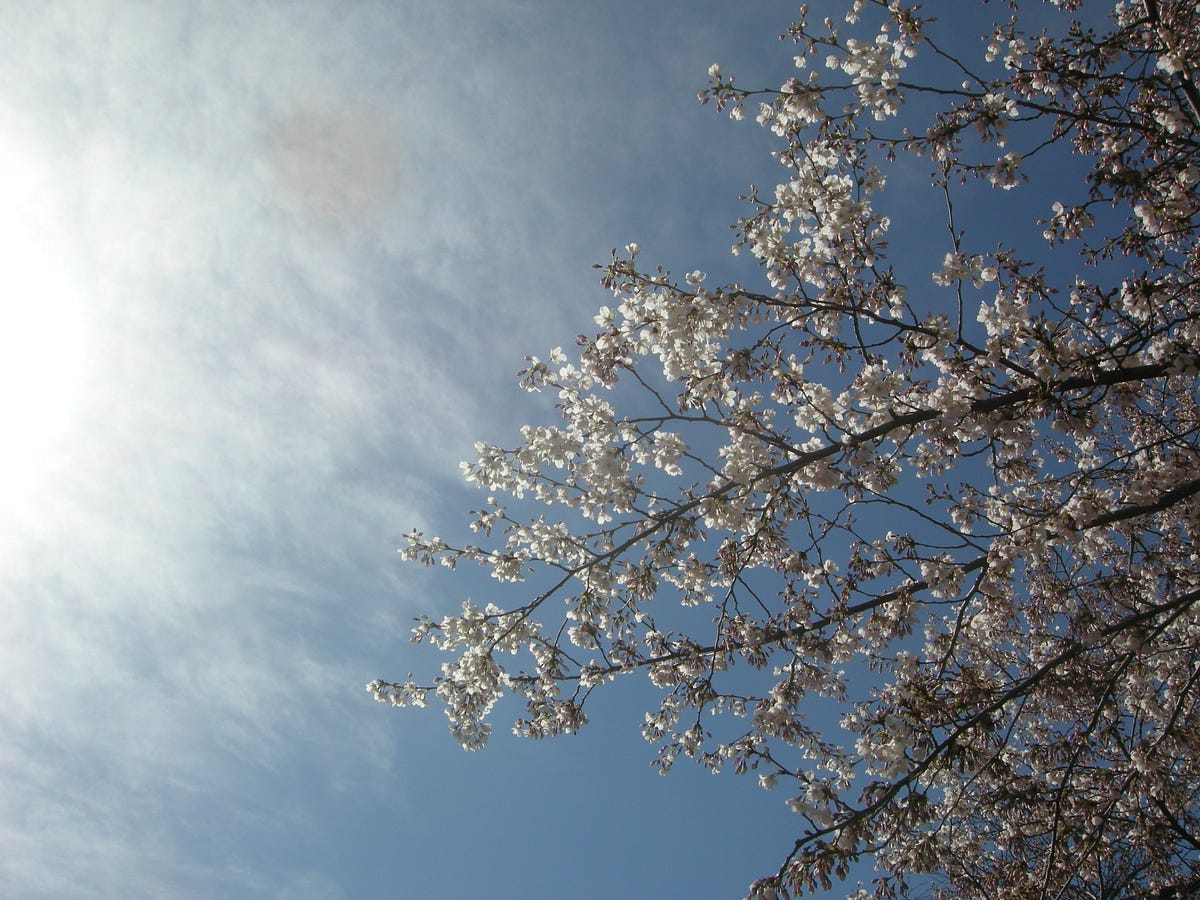 Daily Practice: Notes on the LBRP and the LIRP | by Quadrivium Magicae ...