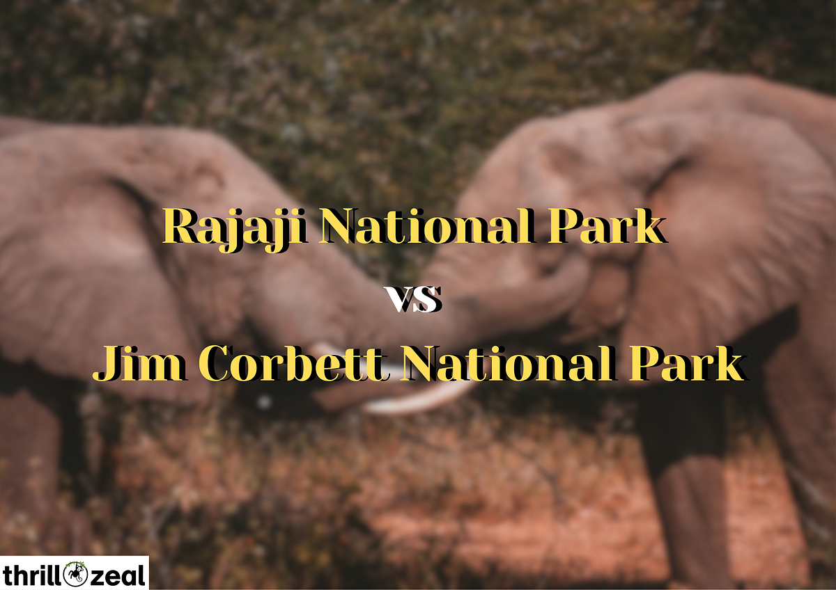 Rajaji National Park vs Jim Corbett: Which One is Better in Summer? | by Paarthbadoni | Apr ...