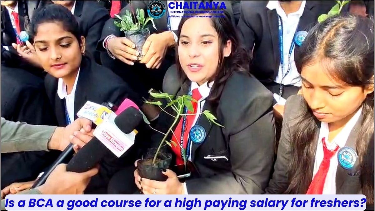 Is a BCA a good course for a high-paying salary for freshers in 2024 ...