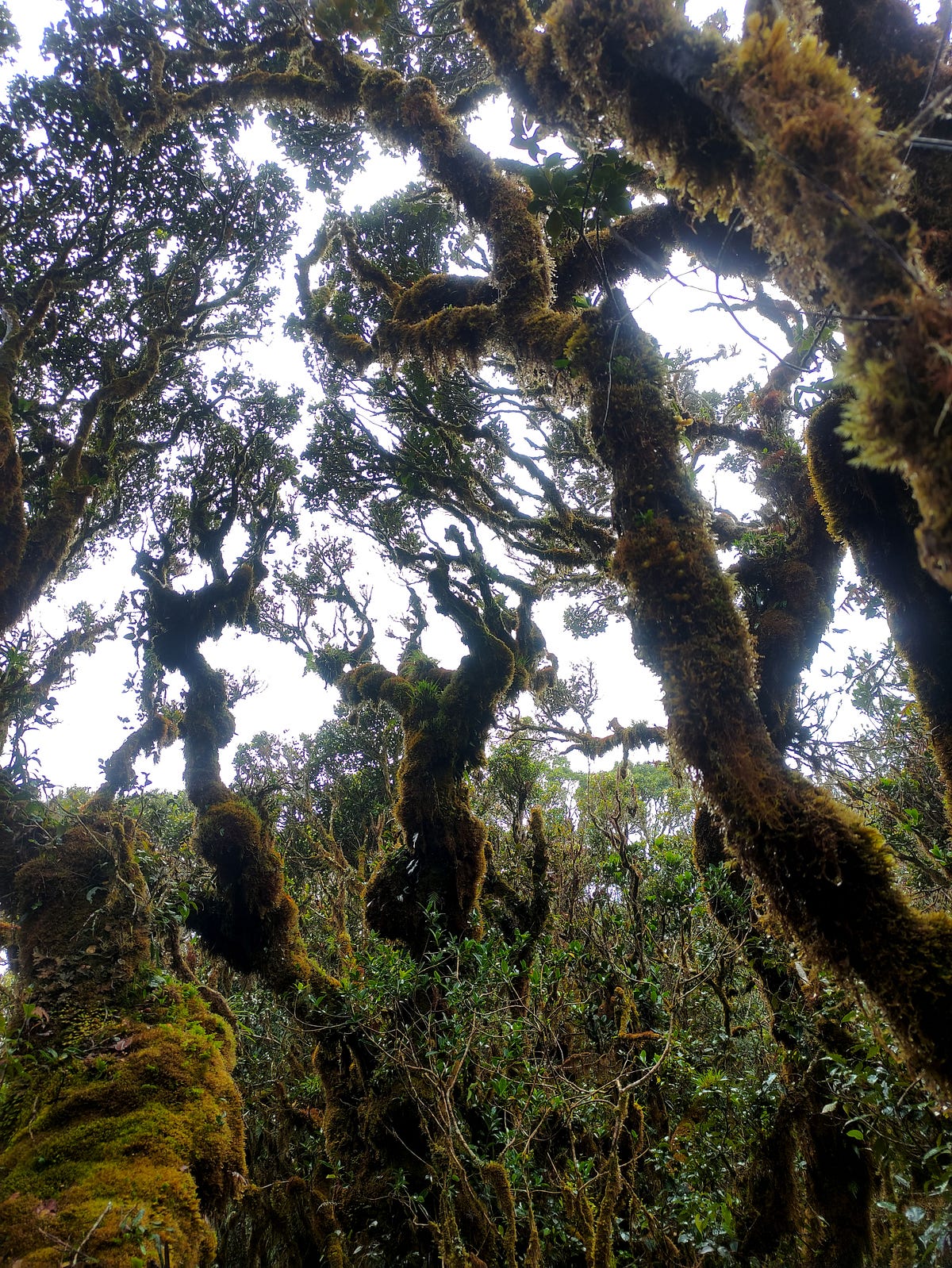 Finding Yourself Again: A Climber’s Guide to Healing After Heartbreak | by Aldrin Jay | Dec ...
