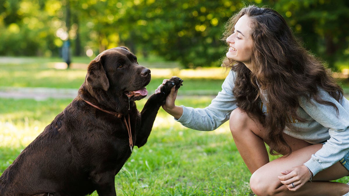 Fun Outdoor Activities to Enjoy with Your Dog | by Luvpaws.store | Jul ...