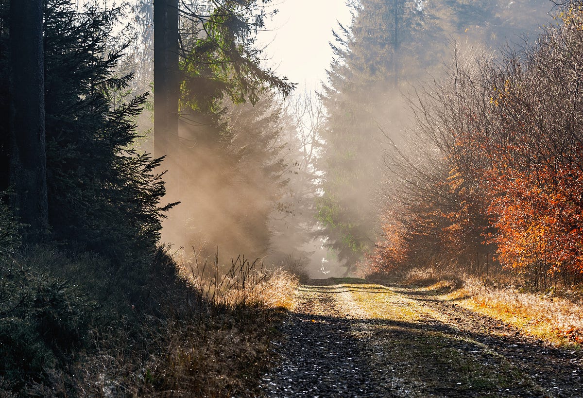 When Late Summer Kisses Autumn. A lyrical poem | by Carolyn Riker ...