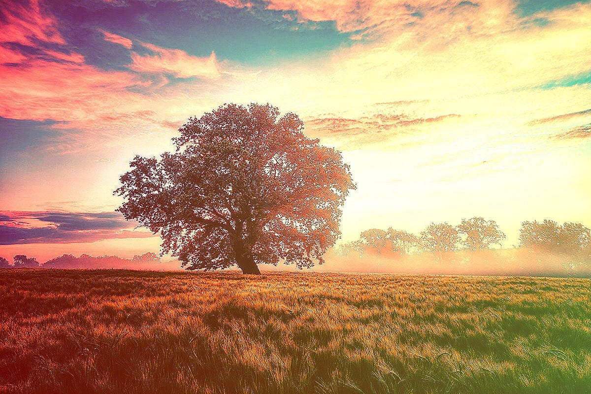 Whole Day just pass away. when eyes gets open, comes on place… | by ...