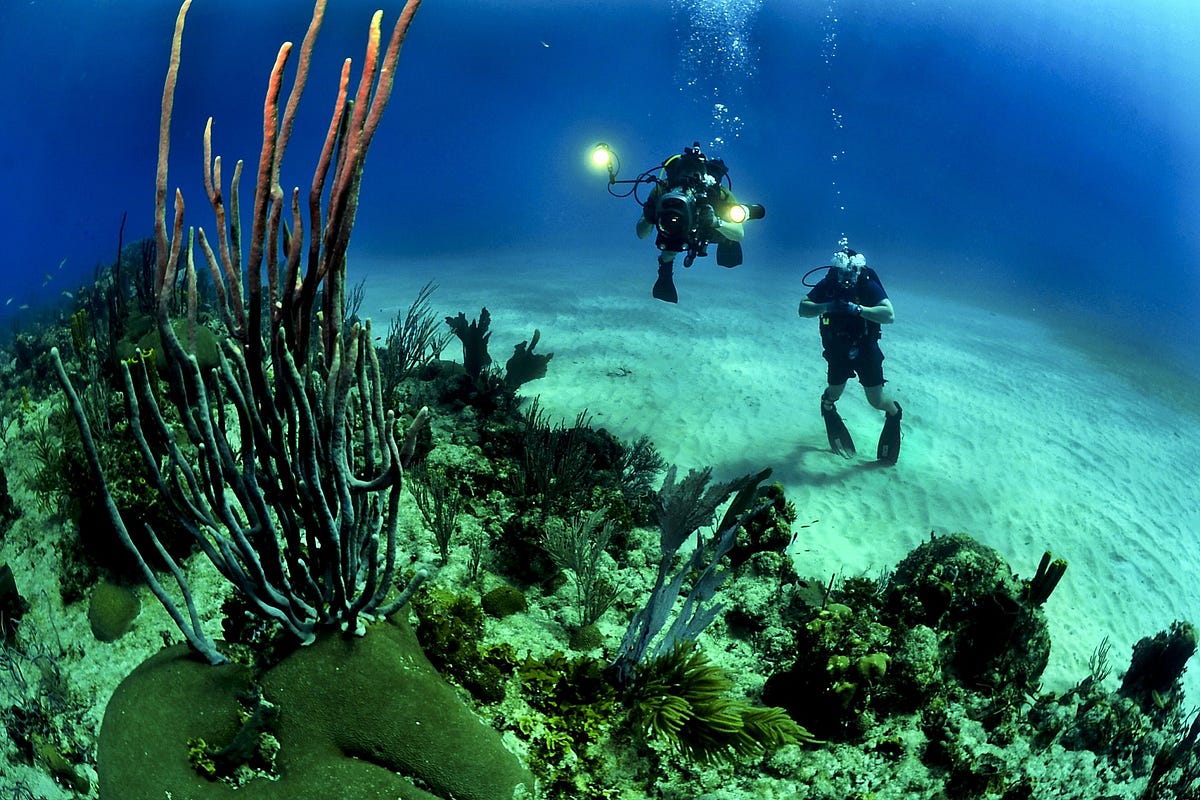 Explain to Kids: The Ocean. We’ve only explored 5% of the ocean… | by ...