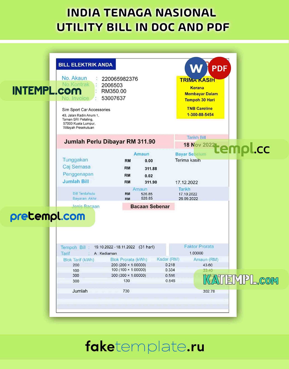 INDIA TENAGA NASIONAL utility bill download Word and PDF example | by ...