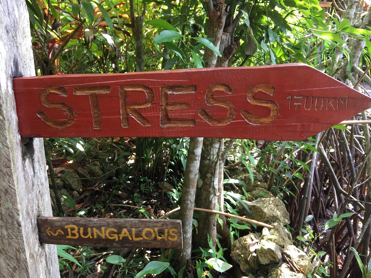 I’m Happy When I See the Signs. An editor's response to the… | by ...