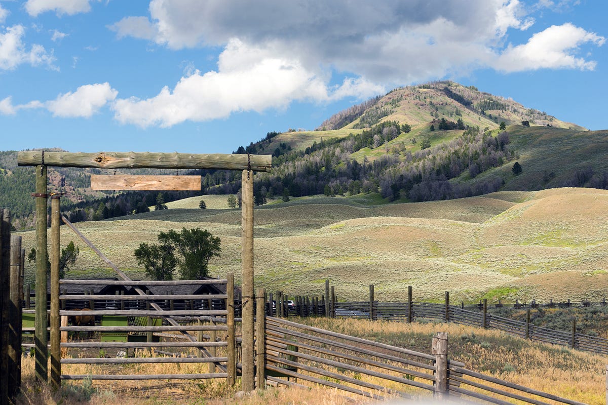 Things to Know When Buying a Ranch with a Public Lease | by EVRanchland ...