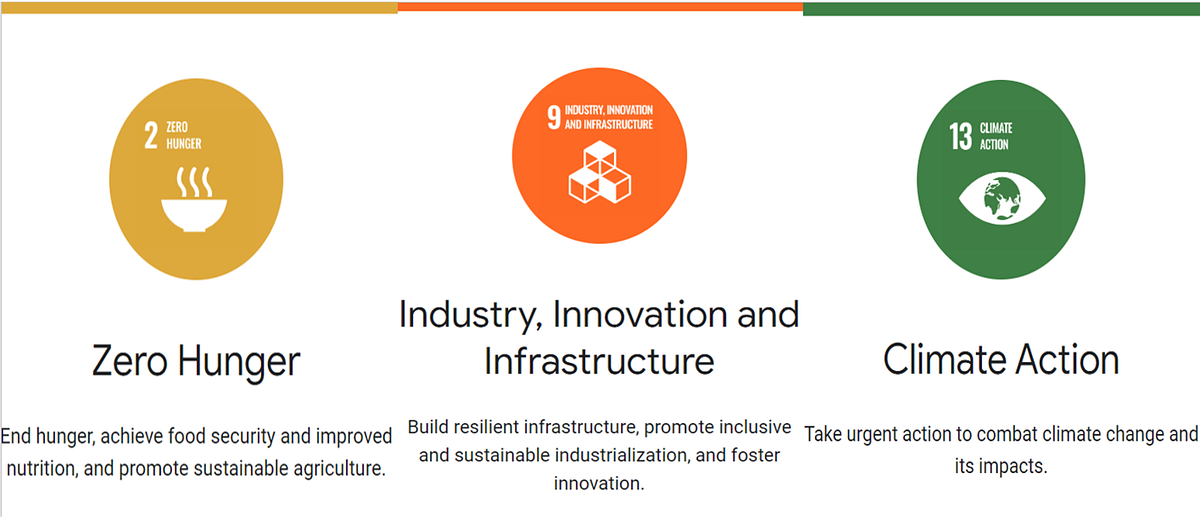 Making it to the top 50 of Google Developers Solution Challenge ! | by ...