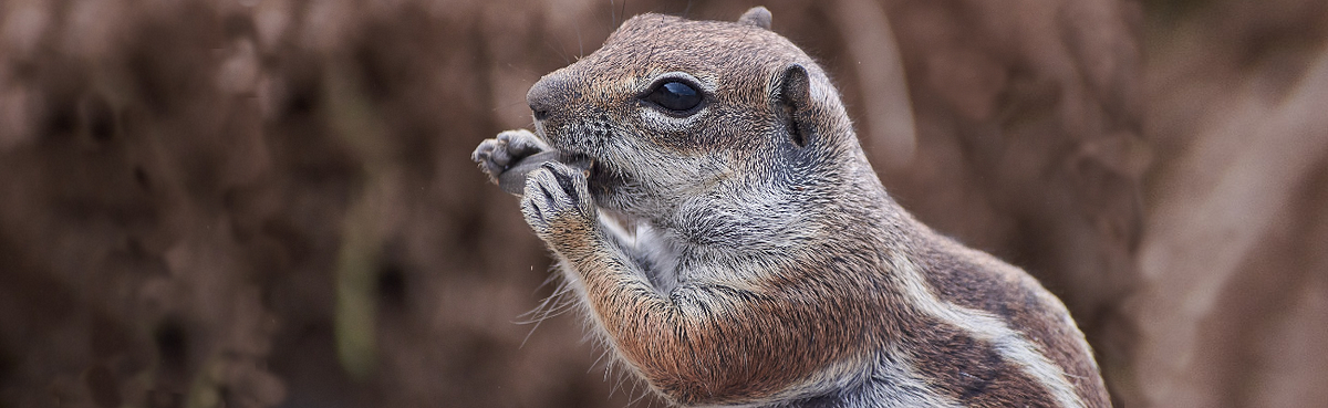 Golang Bits Better Debugging In Vscode By Amit Bezalel Itnext
