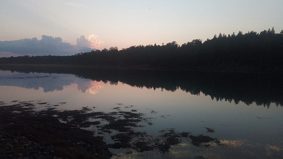 Finding Sanity in Solitude. And peace through self-reflection | by ...