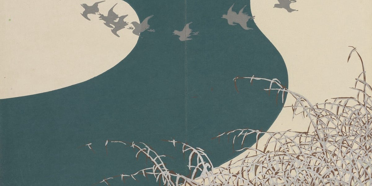 Why I don’t like the “Optional RxJS” idea in Angular | by 🪄 OZ 🎩 | Medium