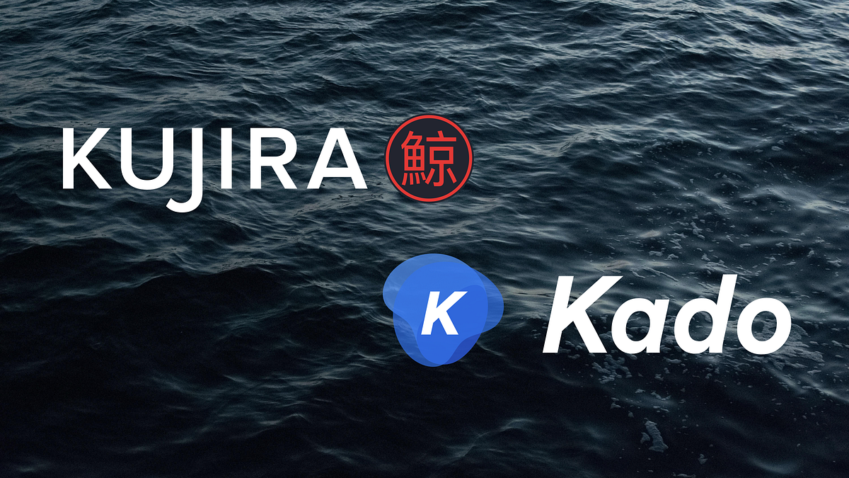 WEEKLY ROUNDUP BY TEAM KUJIRA: EP.3 | by KP | Team Kujira | Medium