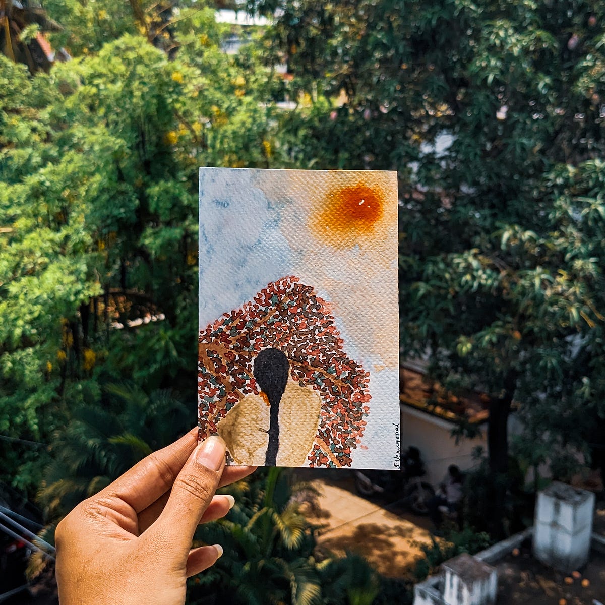 Sreedevi’s Bougainvillaea. My most vivid memory of my… | by Sharanya V | Jun, 2023 | Medium