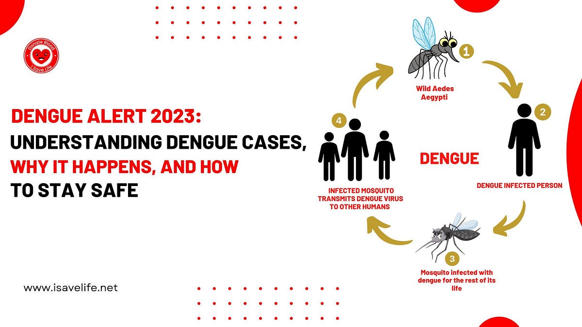 Dengue Alert 2023: Understanding Dengue Cases, Why it Happens, and How ...