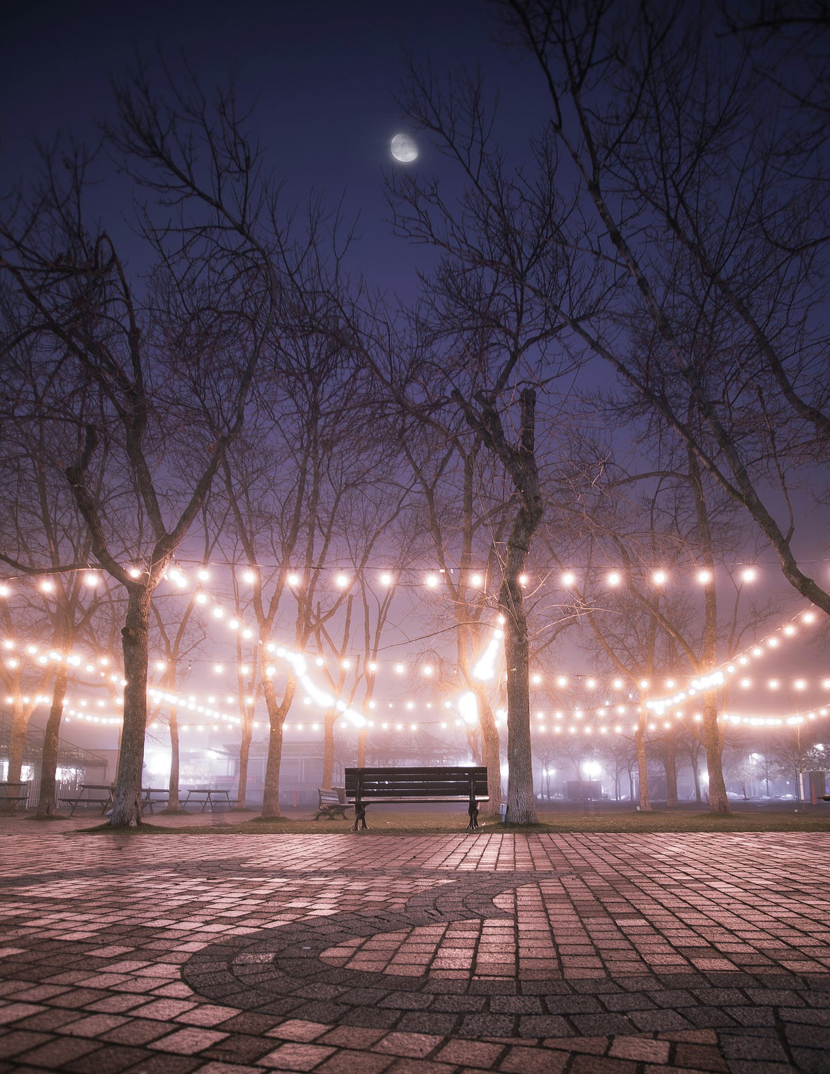 The Night I Became a Poet. Free Verse Poetry | by abdullah | iPoetry ...
