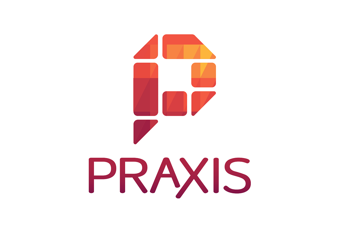 The Inside Scoop on Praxis. Praxis, formally known as Discover… | by ...