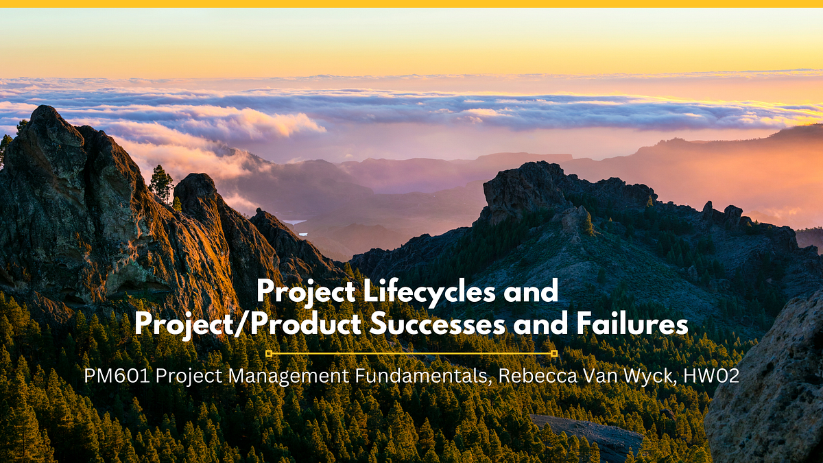 Project Lifecycles in Different Industry Sectors and Project/Product ...