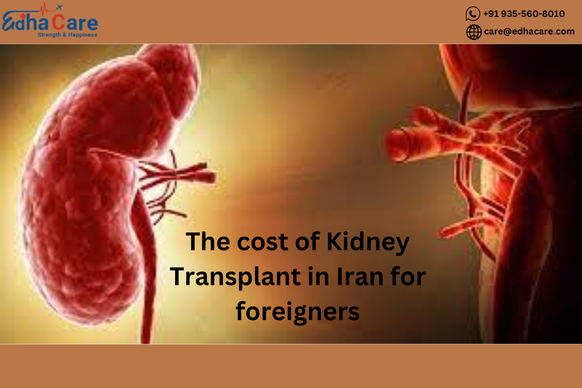 Exploring Affordable Healthcare: The Cost of Kidney Transplants in Iran ...