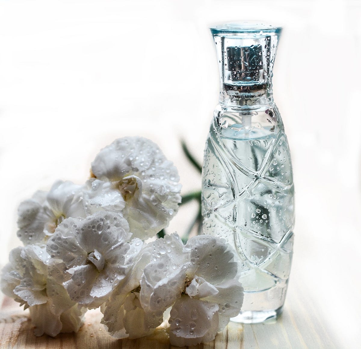 Discover the Finest Fragrances: Best Perfumes in Kuwait and the Allure ...