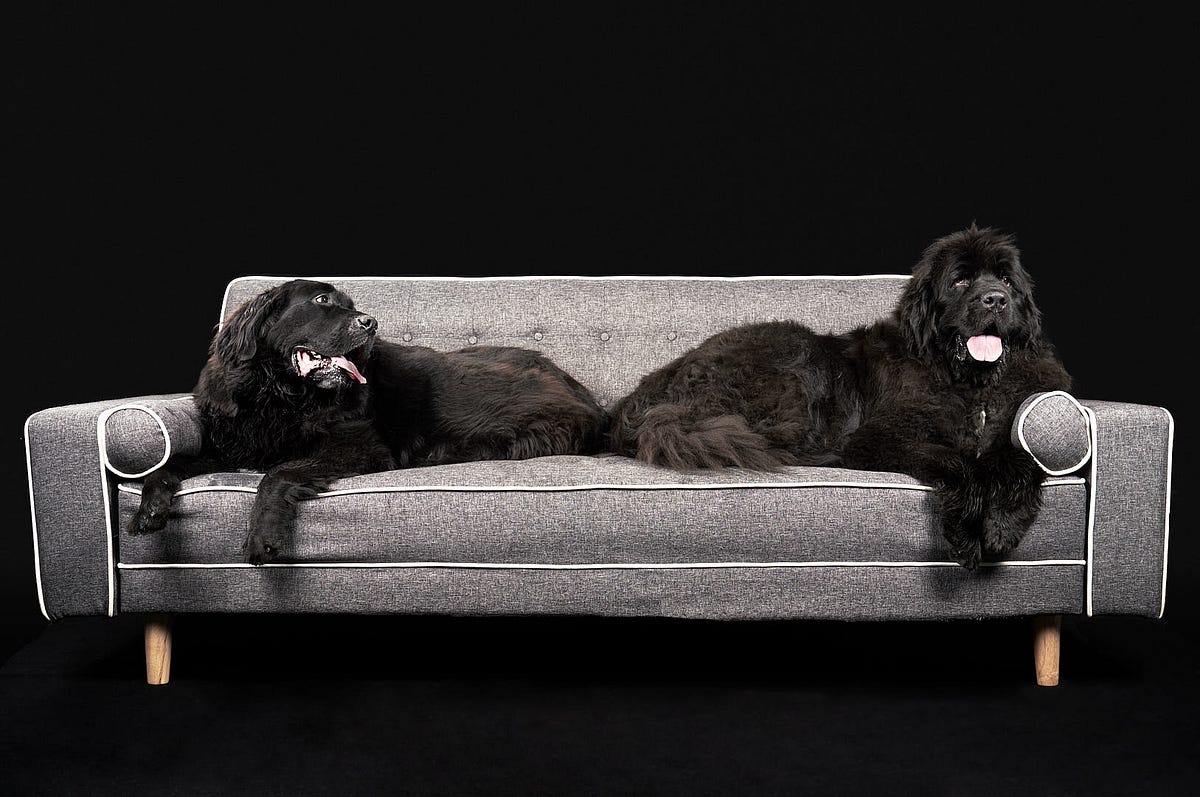 I don’t care what camera you shoot with. | by Fred Levy | Medium