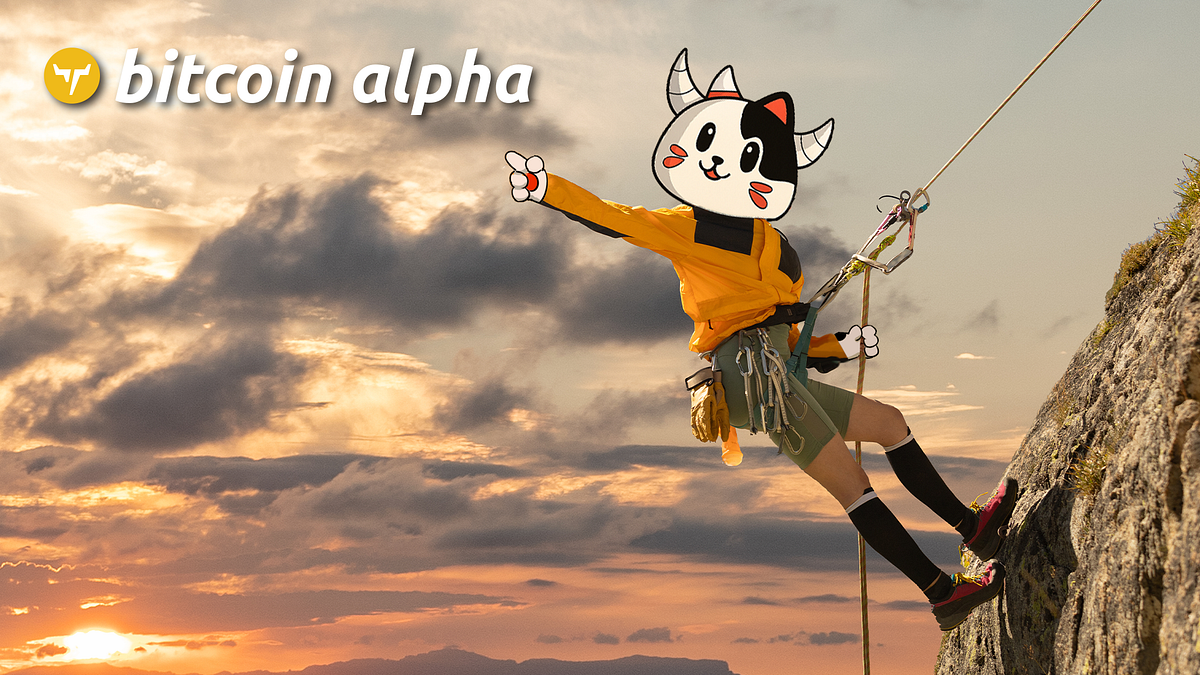 How to Climb the Bitcoin Alpha Ranks | by Nubit | Medium