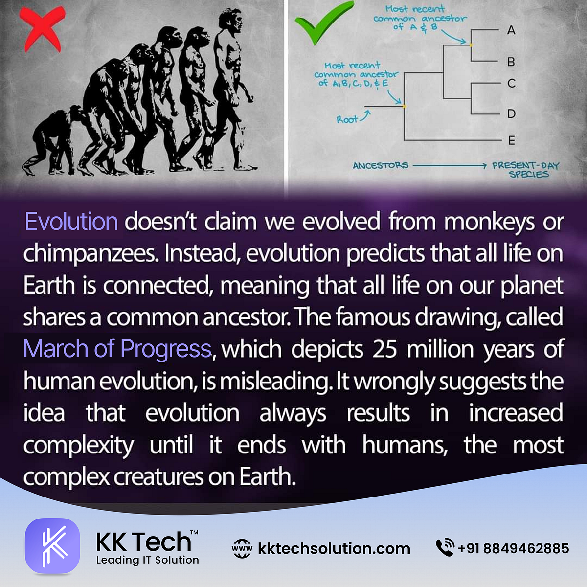 Are We Wrong all Time. HUMAN EVOLUTION | by Tech Gig | Medium