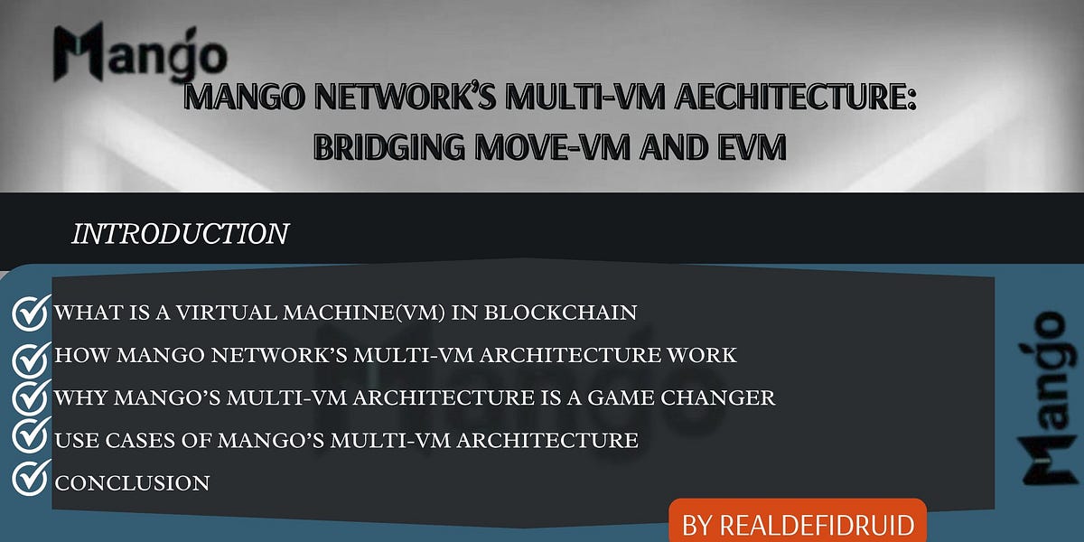 MANGO NETWORK’S MULTI-VM ARCHITECTURE BRIDGING MOVE-VM AND EVM | by Defi Druid | Mar, 2025 | Medium