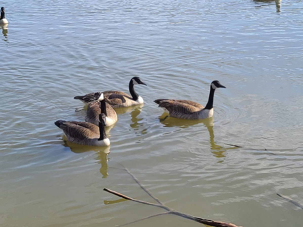 Lessons Of The Pond. Thoughts and lessons of a quiet visit… | by Spyder ...