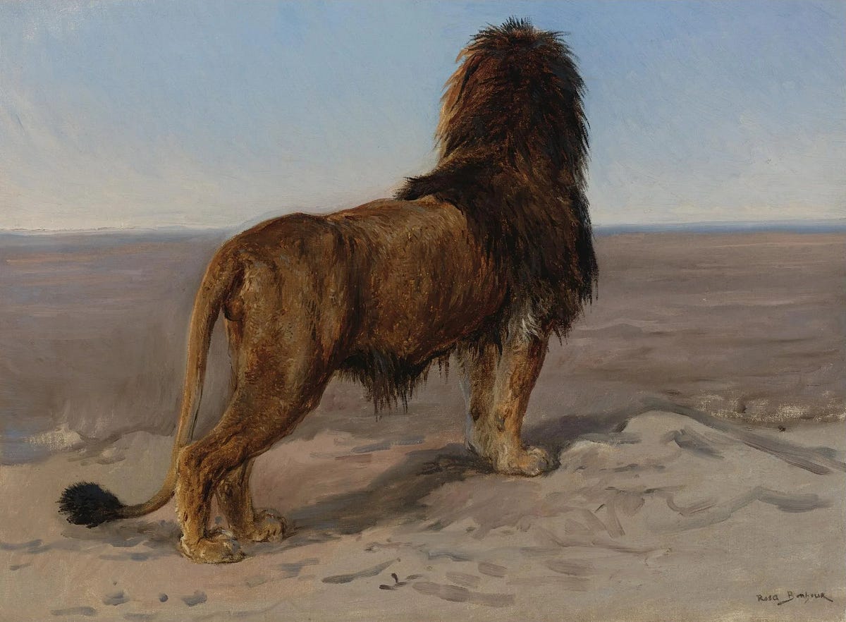 Nietzsche and the Three Metamorphoses of the Spirit | by Samuel | Medium