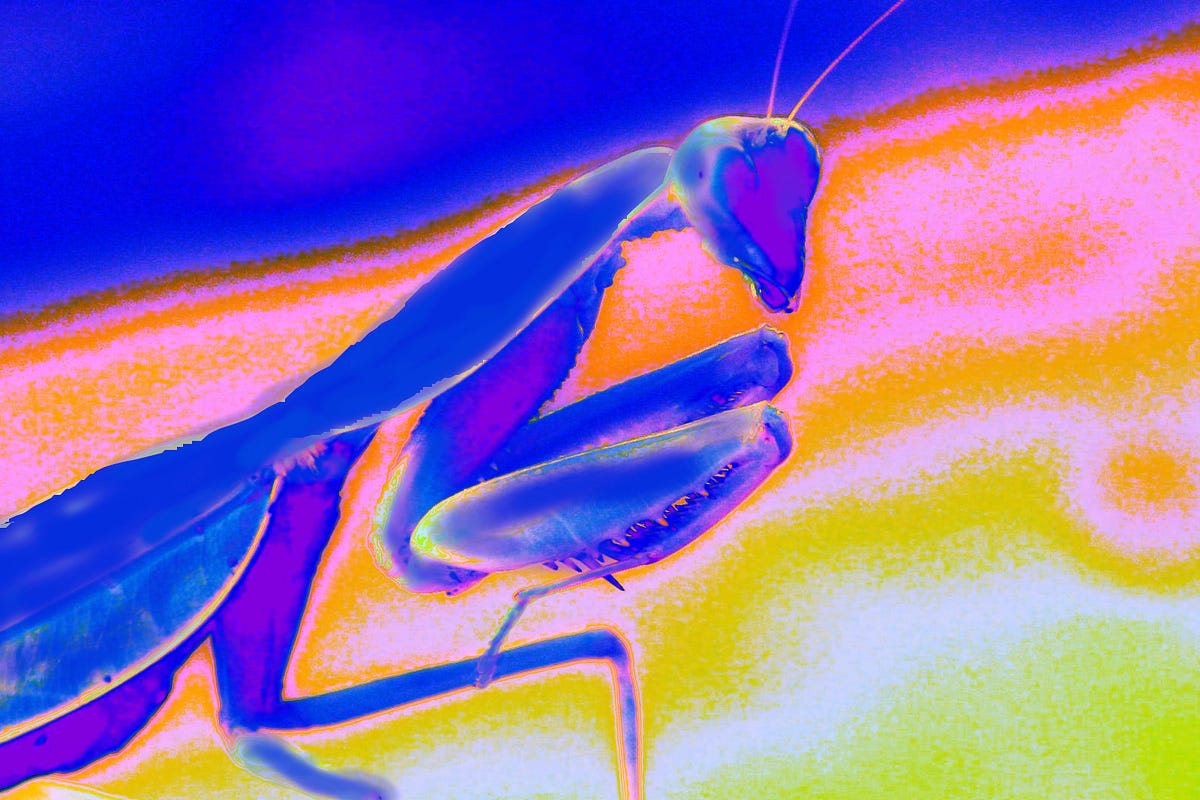 Different meetings with Mantis Beings | by Midway (Jean Carfantan ...