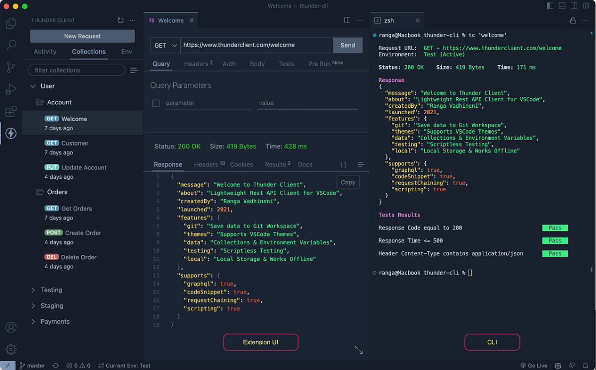 Streamlining Api Testing In Vs Code With Thunder Client By Michalis Mouzakitis Medium