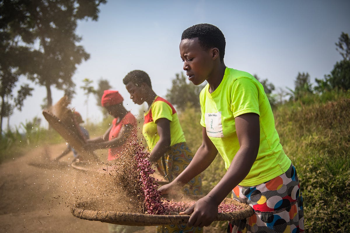 CNFA: 2019 in Review. Stimulating economic growth and… | by CNFA ...