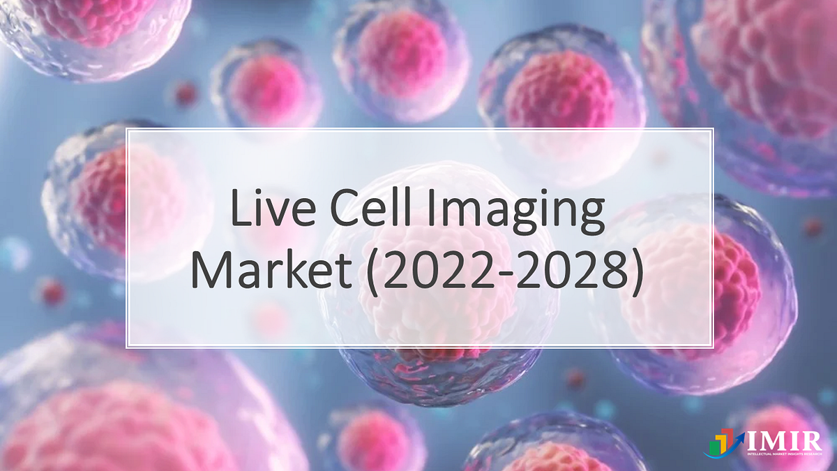 Live Cell Imaging Market To Grow At A CAGR of 8.94% By 2028 | 189 Pages ...