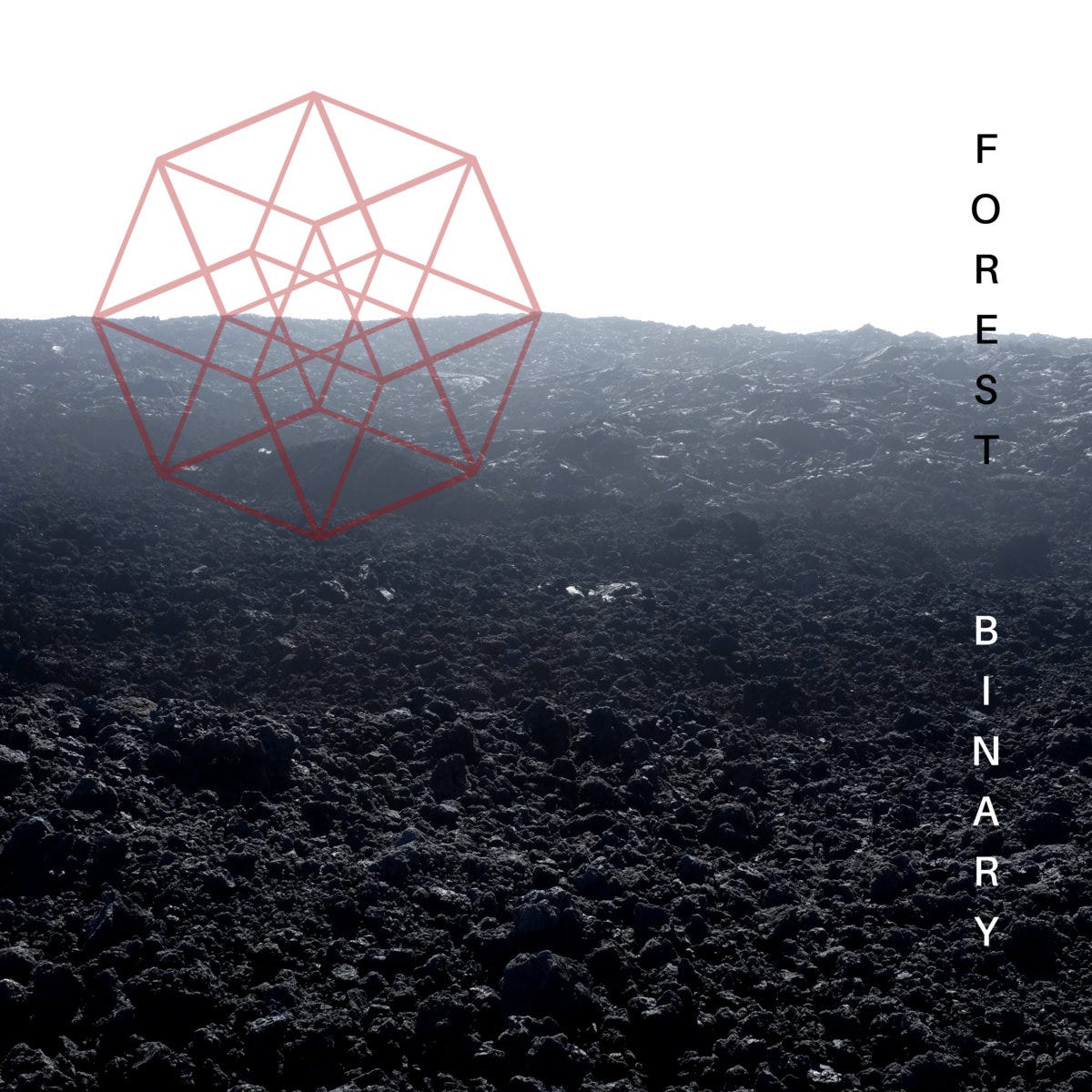 Forest Binary — Side C. A multi-layered cake of progressive… | by ...