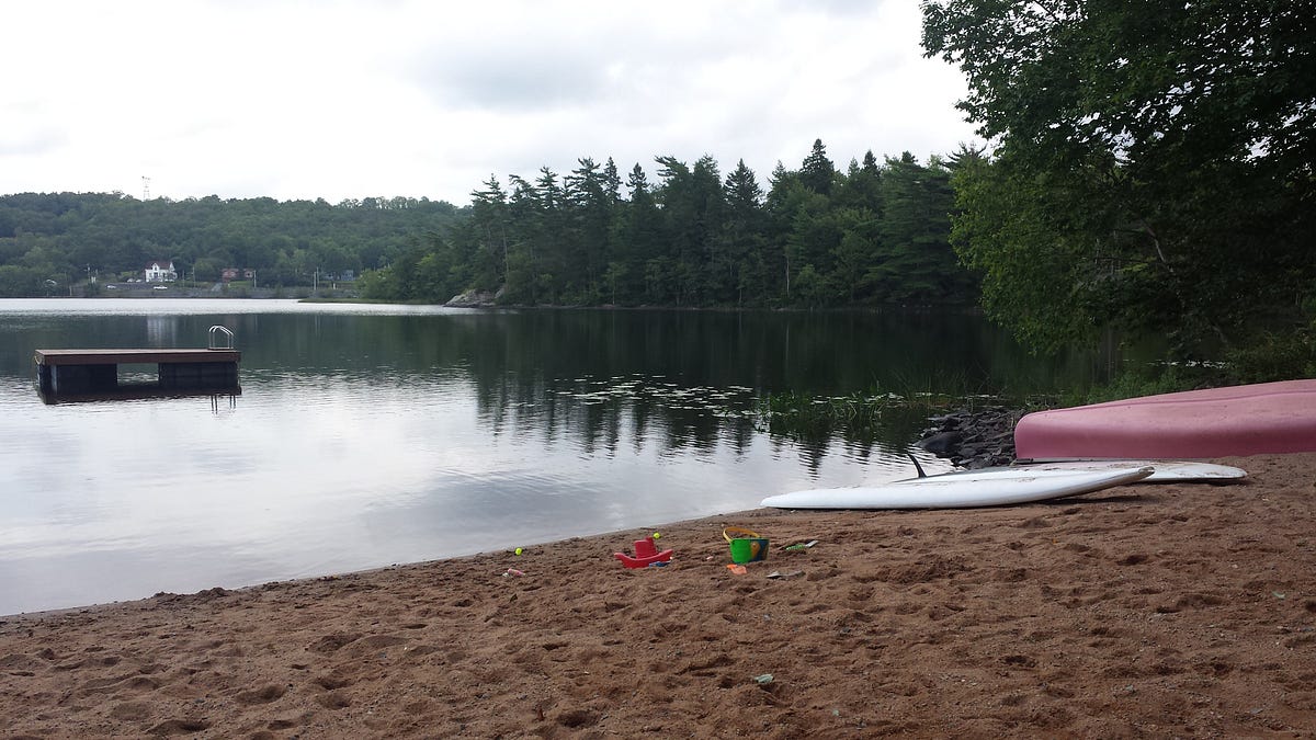 Chasing the loon. You don’t have to feel Canadian to feel… | by Lorax B ...