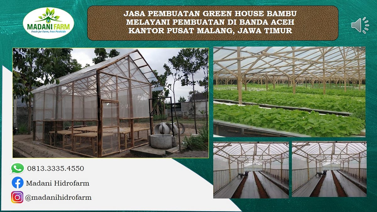 Jasa Pembuatan Green House Bambu di Banda Aceh HP/WA 0813.3335.4550 ...