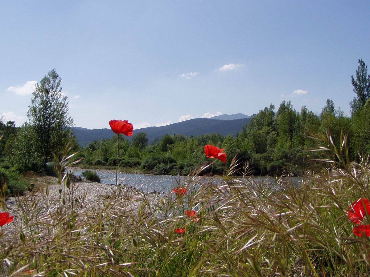 The Tiber River Valley: Valtiberina in Tuscany | by Jessica Carlini ...