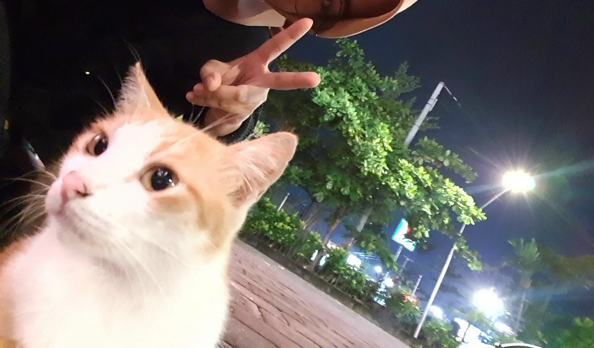 To myself alone: January. (from me to myself at the end of the… | by ...