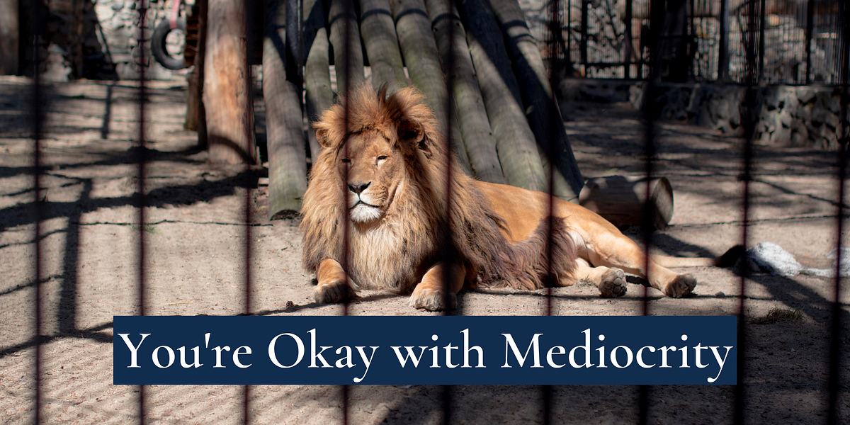 You’re Okay with Mediocrity. You won’t like what I’m about to say… | by ...