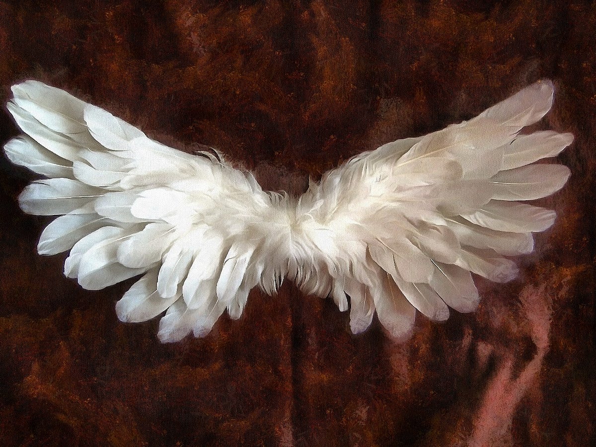 Don’t Try To Shoot Down Angels. (You WILL miss.) | by Angelic ...