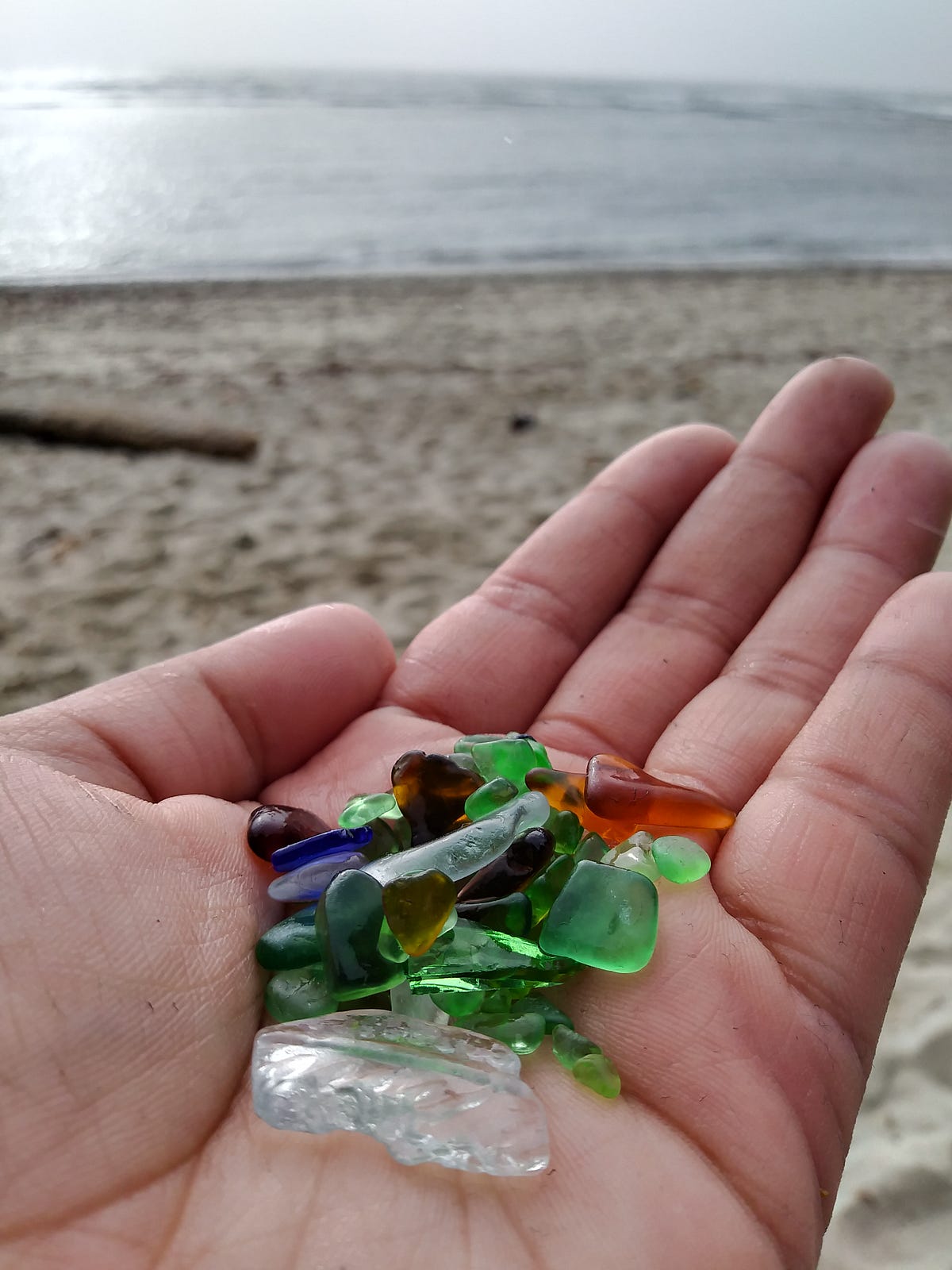Hidden treasure. Don’t liter the ocean but please… | by Alex Heyman ...