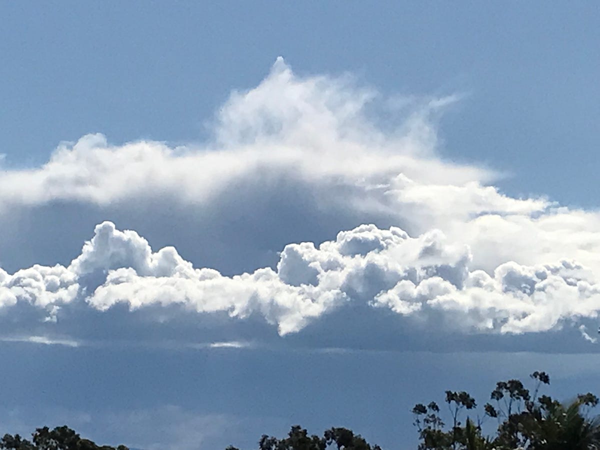 The Weather Gods. Hold the sway | by David Rudder | Woodworkers of the ...