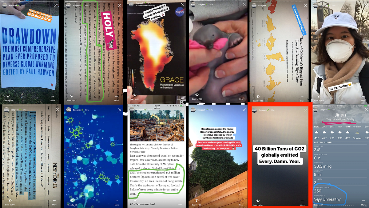 Chasing a Job with Purpose. It’s 2020 and people are asking how… | by ...